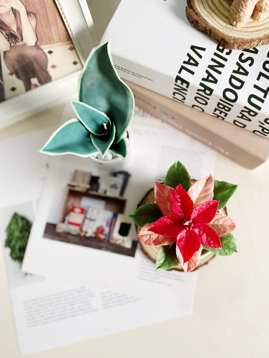 Candle Class – flowermakersg